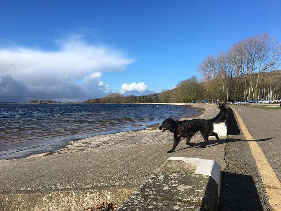 Cheddar Reservoir Walk - Retreat Caravan Park